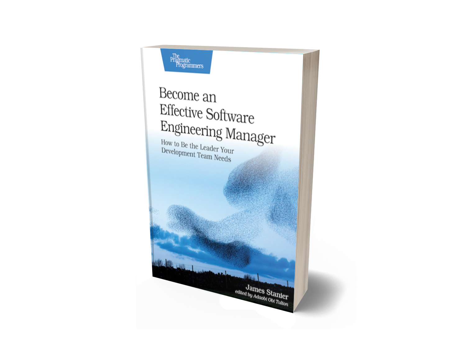 Books - The Engineering Manager